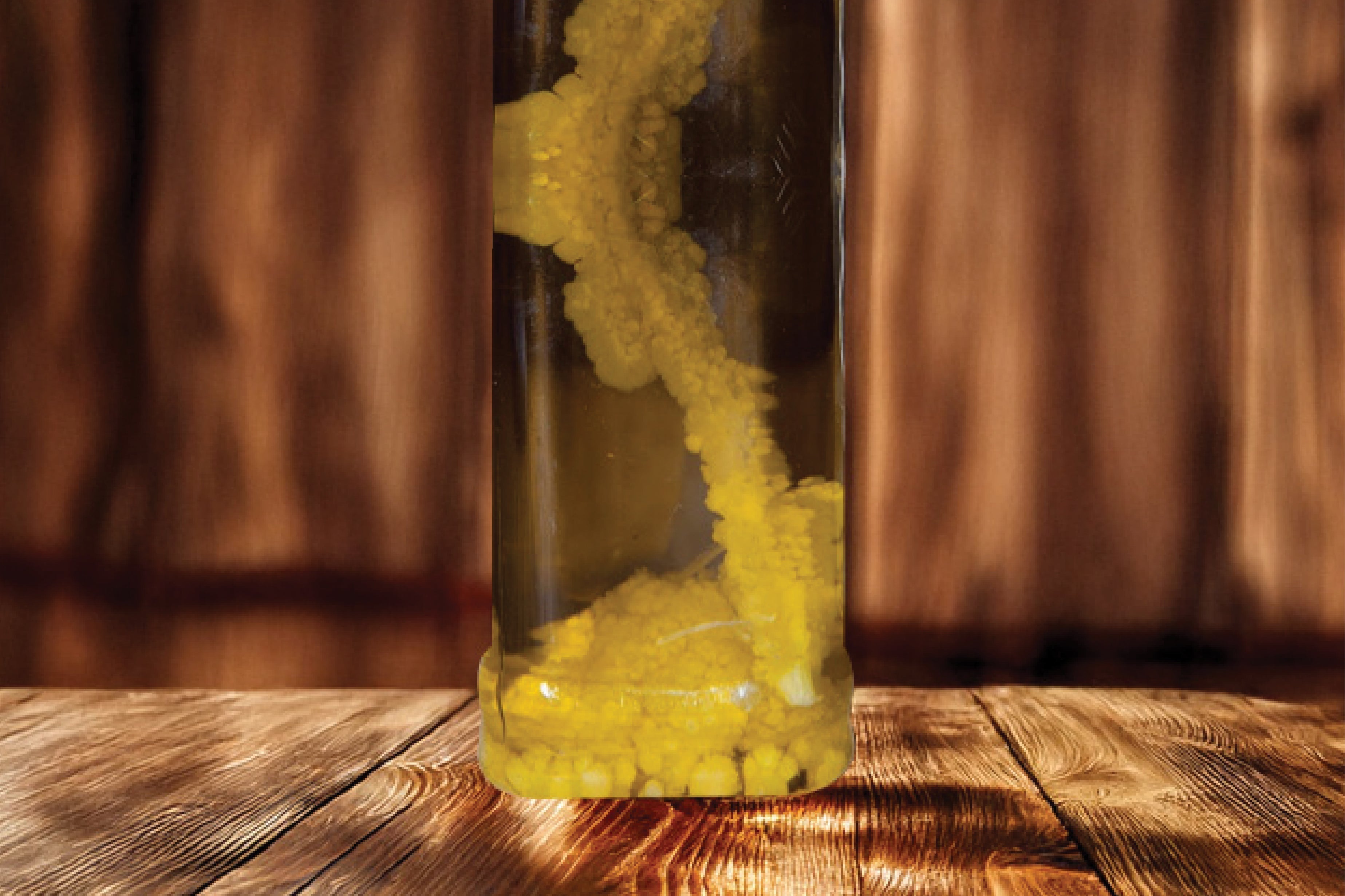 Why Does My Olive Oil Look Cloudy or Have White Chunks? | TERRA DELYSSA US