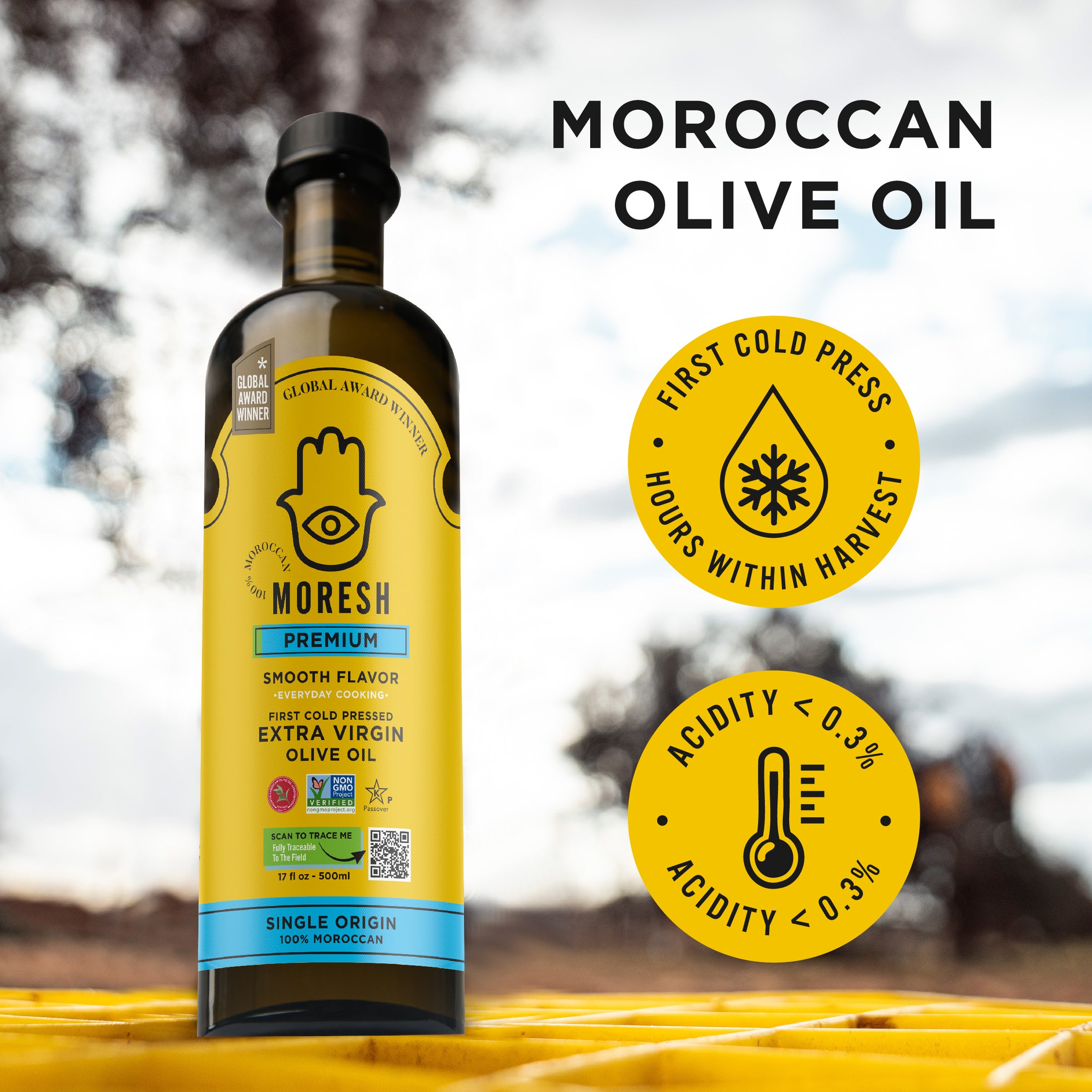 Moresh Moroccan Extra Virgin Olive Oil | 1L / 1 | TERRA DELYSSA US