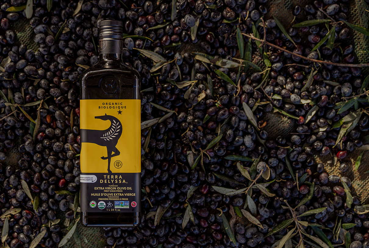 Our Story | TERRA DELYSSA US